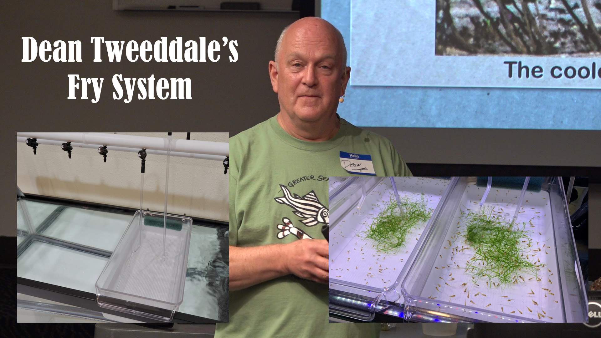 GSAS: Greater Seattle Aquarium Society